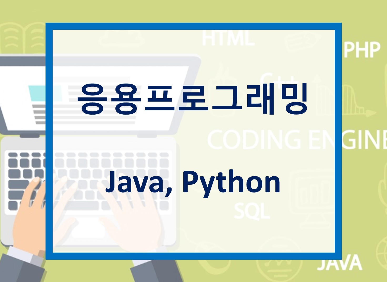 It개발 응용 프로그래밍 Java Python 프로그램 개발해드립니다 사람인 긱 재능마켓